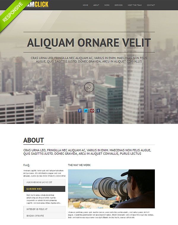 20 Parallax Effect Templates | FlashMint Blog